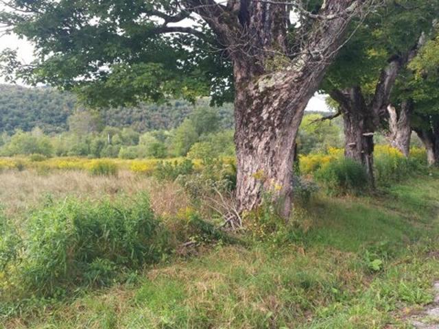 Old County Ln, Readsboro, Plot For Sale