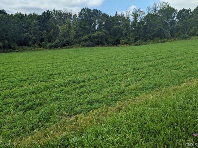 Old County Rd, Morrisville, NY 13408