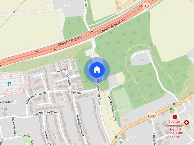 Old Common Road, Cobham, KT11