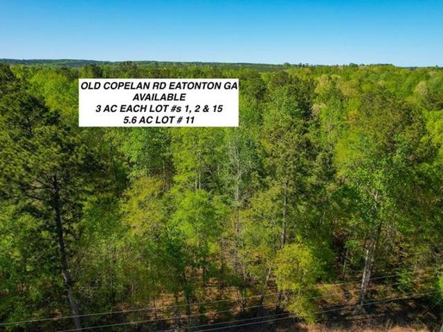 Old Copelan Rd Lots 1 & 2, Eatonton, GA 31024