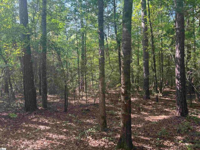 Old Calhoun Falls Road