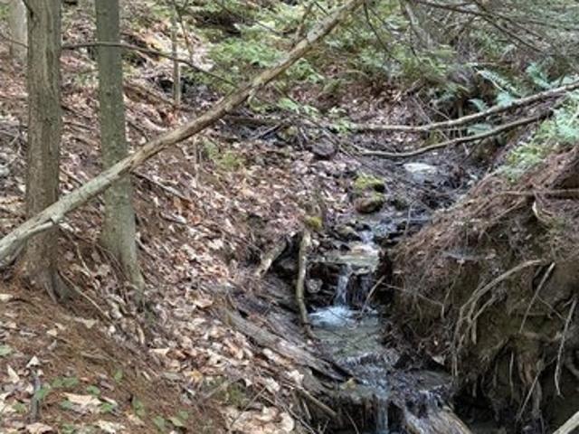 Old Carriage Rd, Fayston, VT 05673