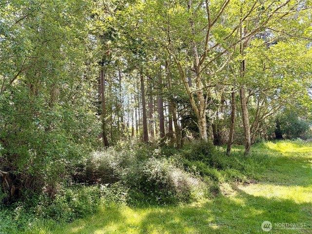 Old Cedar Ln, Oak Harbor, WA 98277