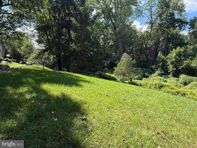 Old Chesterbrook Rd