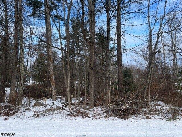 Old Chimney Ridge Rd, Montague, Plot For Sale