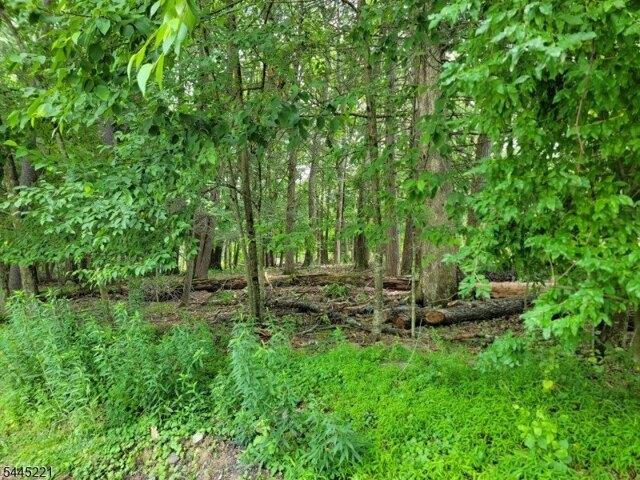 Old Chimney Ridge Rd, Montague, Plot For Sale