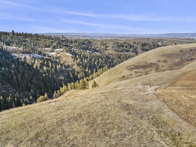 Old Culdesac Rd, Culdesac, ID 83524