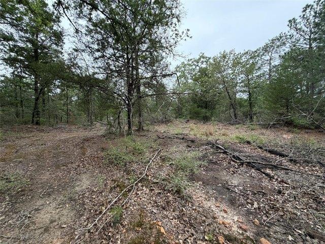 Old Antioch Rd Lot 17, Smithville, TX 78957