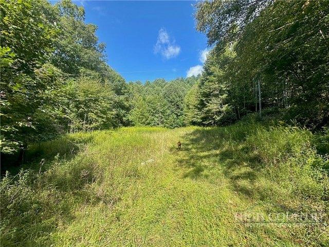 Old Anderson Quarry Rd, Vilas, NC 28692