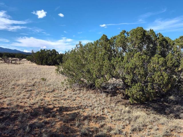 Old Abo Trail