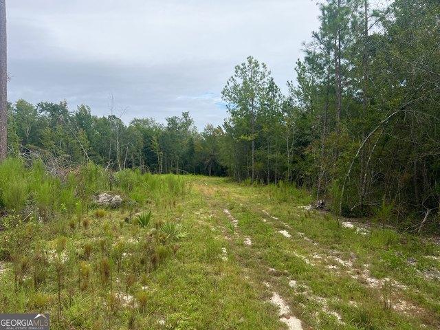 Old Ailey Lothair Rd, Mount Vernon, GA 30445