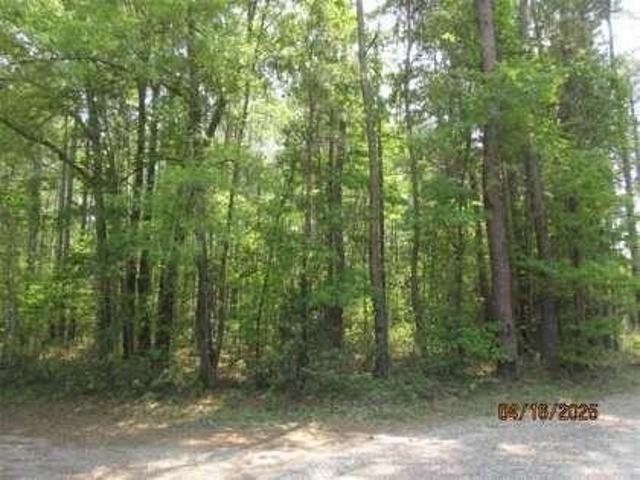 Old Arrowhead Rd, Huger, SC 29450