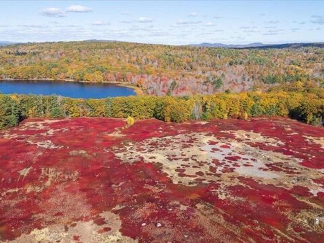 Old Augusta Rd, Waldoboro, Plot For Sale