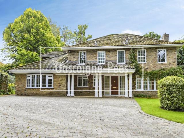Old Avenue, West Byfleet, KT14 5 bed detached house to rent £5,950 pcm £1,373 pw