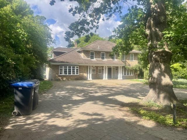 Old Avenue, Woking KT14, 5 bed detached house to rent, £5,950 pcm | PrimeLocation
