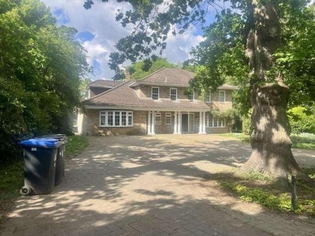 Old Avenue, Woking, KT14