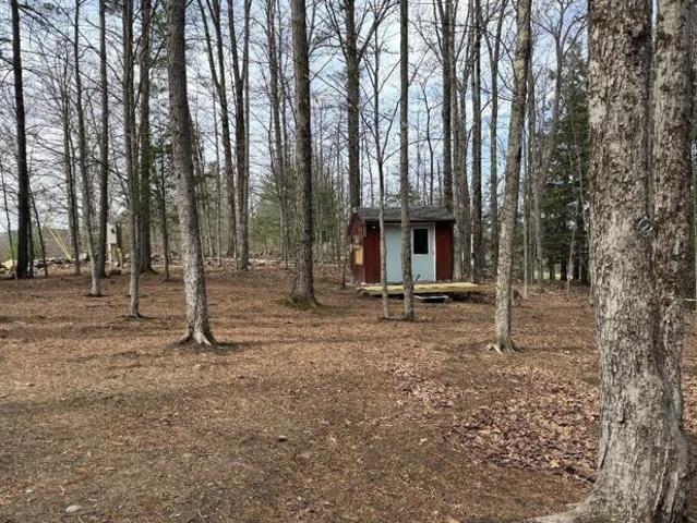 Old Bow Rd, Weathersfield, Home For Sale