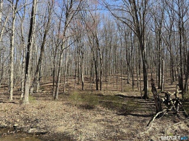 Old Bethel Rd, Newtown, Plot For Sale