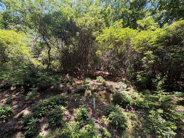 Old Bear Ridge Rd Lot 5C, Scaly Mountain, NC 28775