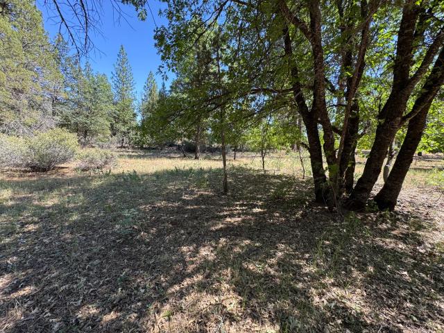 Old Brown Ranch Road