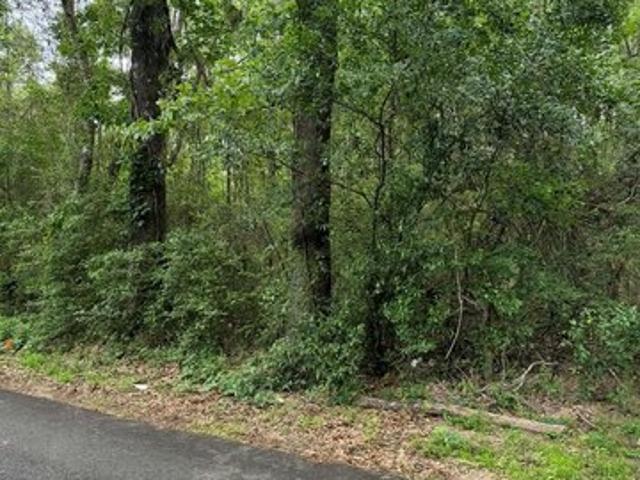 Old Gobblers Knob Rd Lot 1, Lufkin, TX 75901