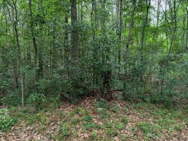 Old Gobblers Knob Rd Lot 2, Lufkin, TX 75901