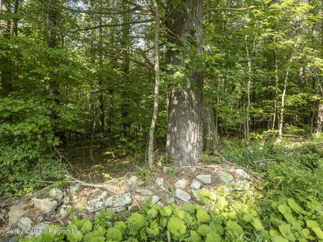 Old Gale Hill Rd, East Chatham, NY 12060