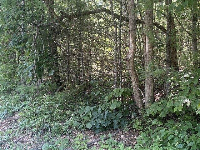 Old Gilbertville Rd Lot,ware, Plot For Sale