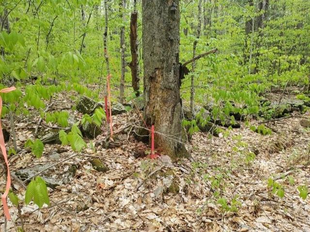 Old Gilsum Rd, Keene, NH 03431