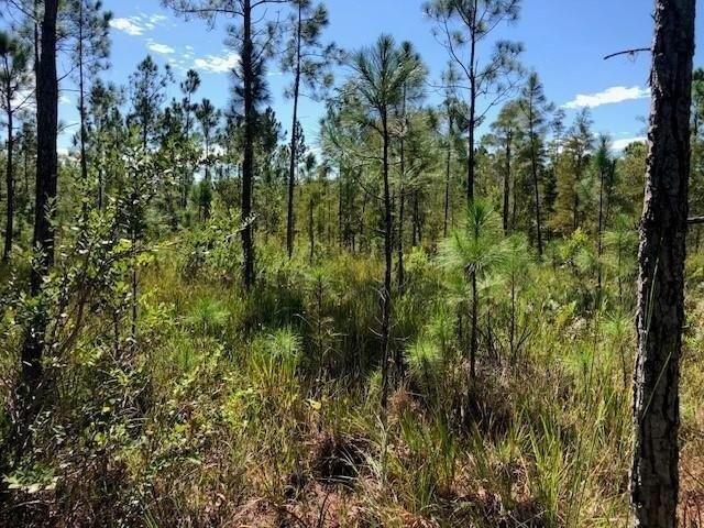 Old Grade Road, FL 33868