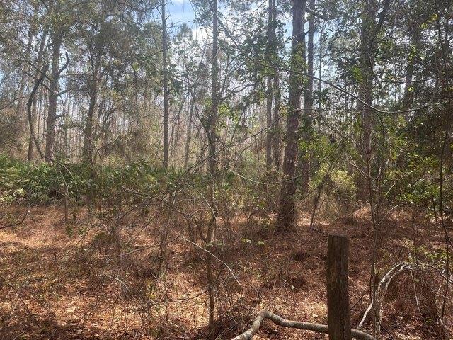 Old Grade Road, FL 33868