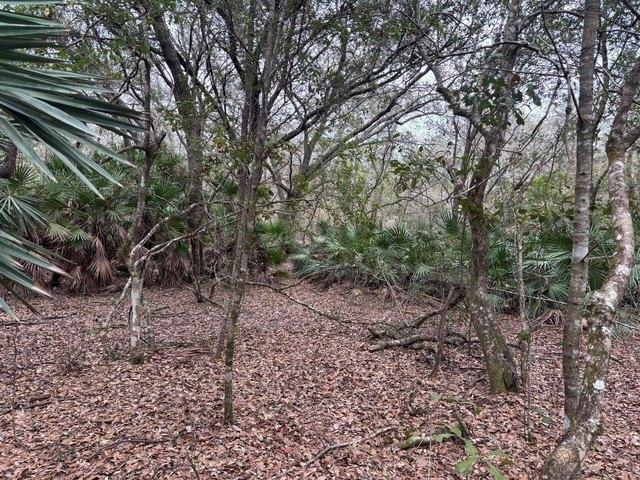Old Grade Road, FL 33868