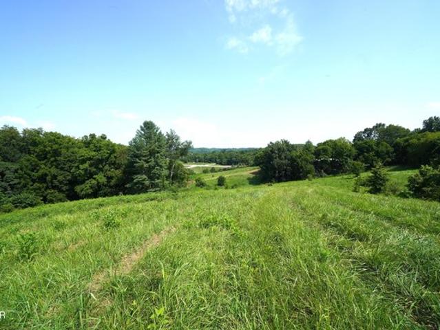 Old Greeneville Hwy, Parrottsville, TN 37843