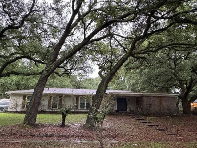 Old Dobbin Dr E