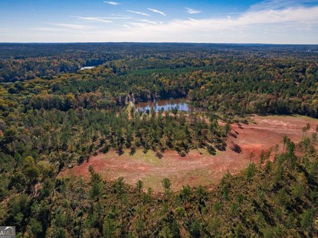 Old Dames Ferry Rd, Juliette, GA 31046