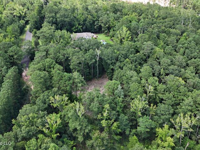 Old Dees Drive, Vancleave, MS 39565