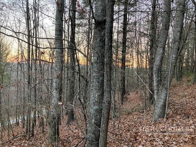 Old Deer Trace Rd, Boone, NC 28607