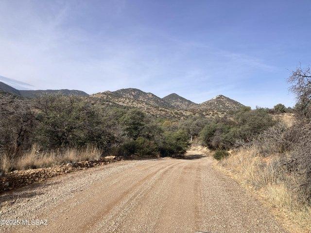 Old Duquesne Rd Unit 2, Patagonia, AZ 85624