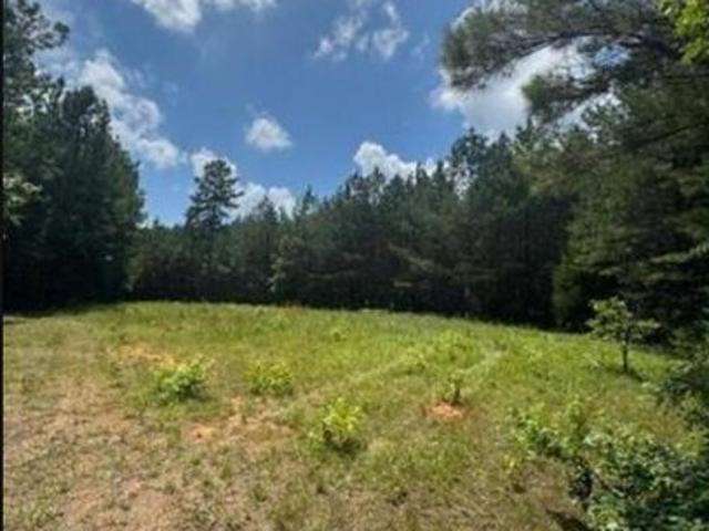 Old Edgefield Rd Lot N1, Ninety Six, SC 29666