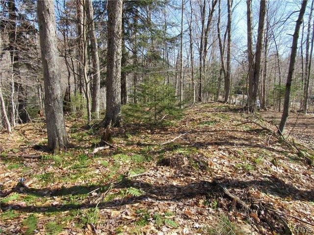 Old Forge, NY 13420
