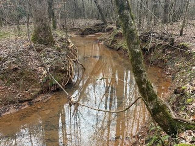 Old Fayetteville Rd, Sylacauga, AL 35151