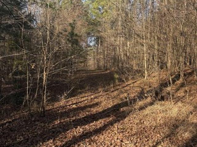 Old Factory Site Rd, Murfreesboro, AR 71958
