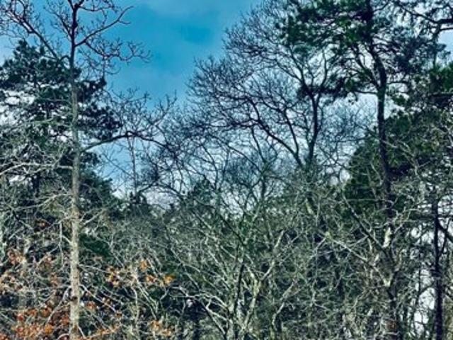 Old Farms Trl, Edgartown, Plot For Sale