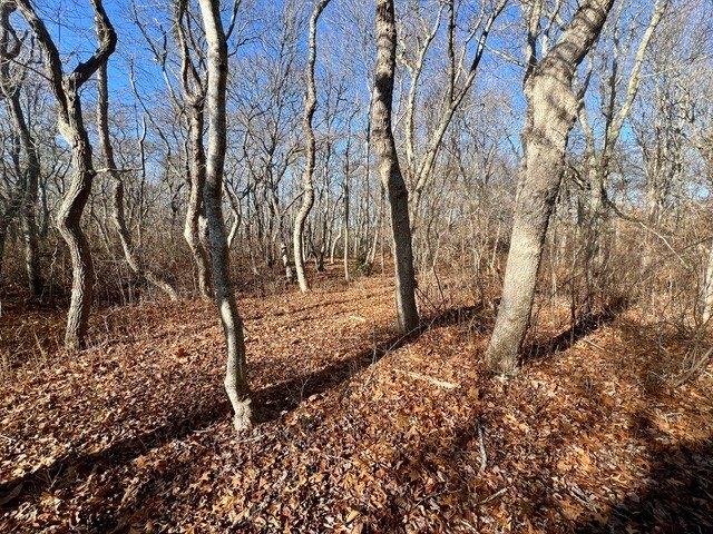 Old Field Rd, Aquinnah, Home For Sale