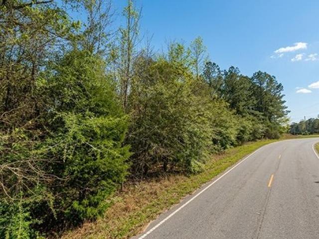 Old Franklin Rd, Tuskegee, AL 36083