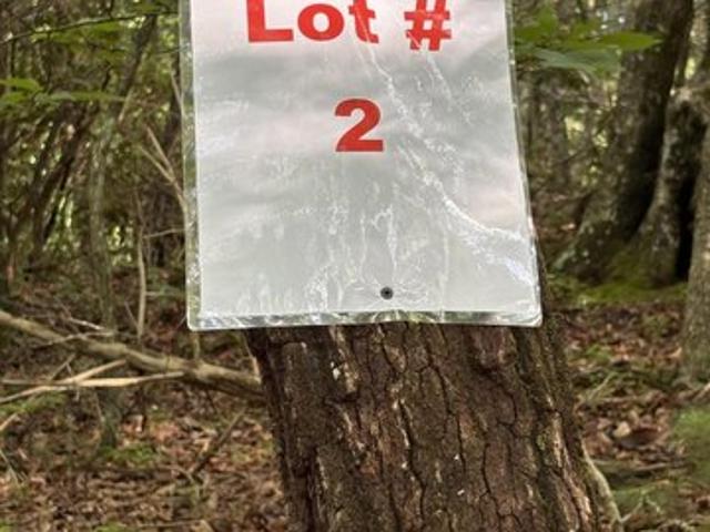 Old Furnace Rd Lot 2, Tellico Plains, TN 37385