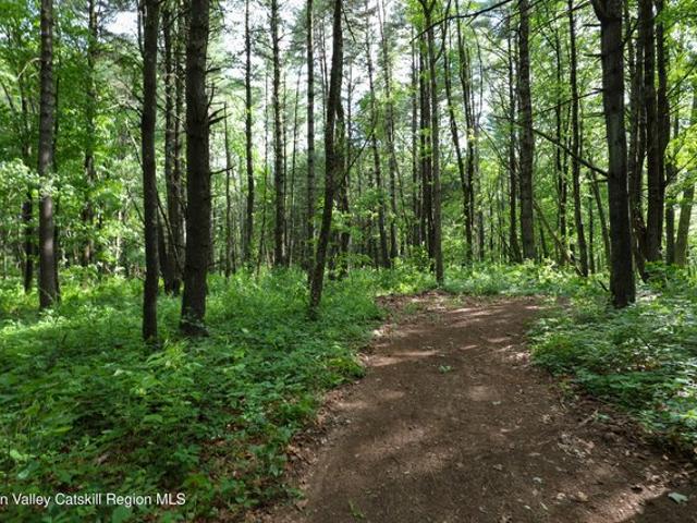 Old Kings Rd, Catskill, NY 12414