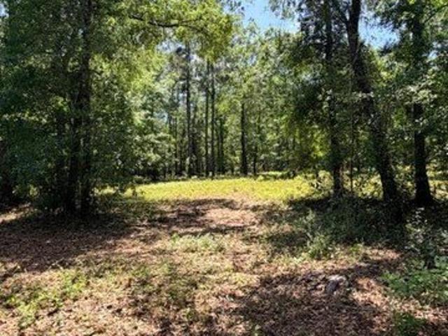 Old Kings Rd, Jacksonville, FL 32219