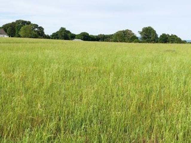Old Holders Cove Rd, Winchester, TN 37398