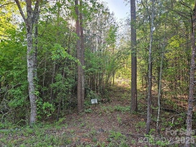 Old Hollis Rd Unit 2, Ellenboro, NC 28040